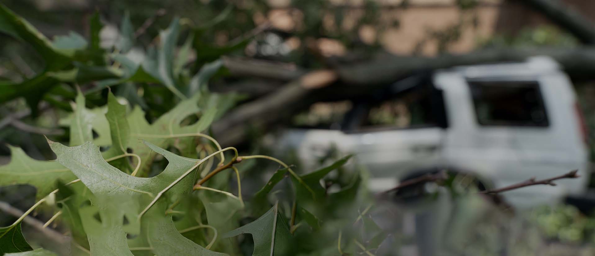 Claims - Northern Insurance Brokers